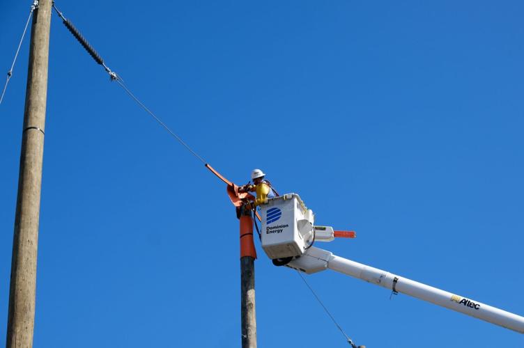 Electricity Pulses Through Generations Of Pultz Veins | Dnronline ...