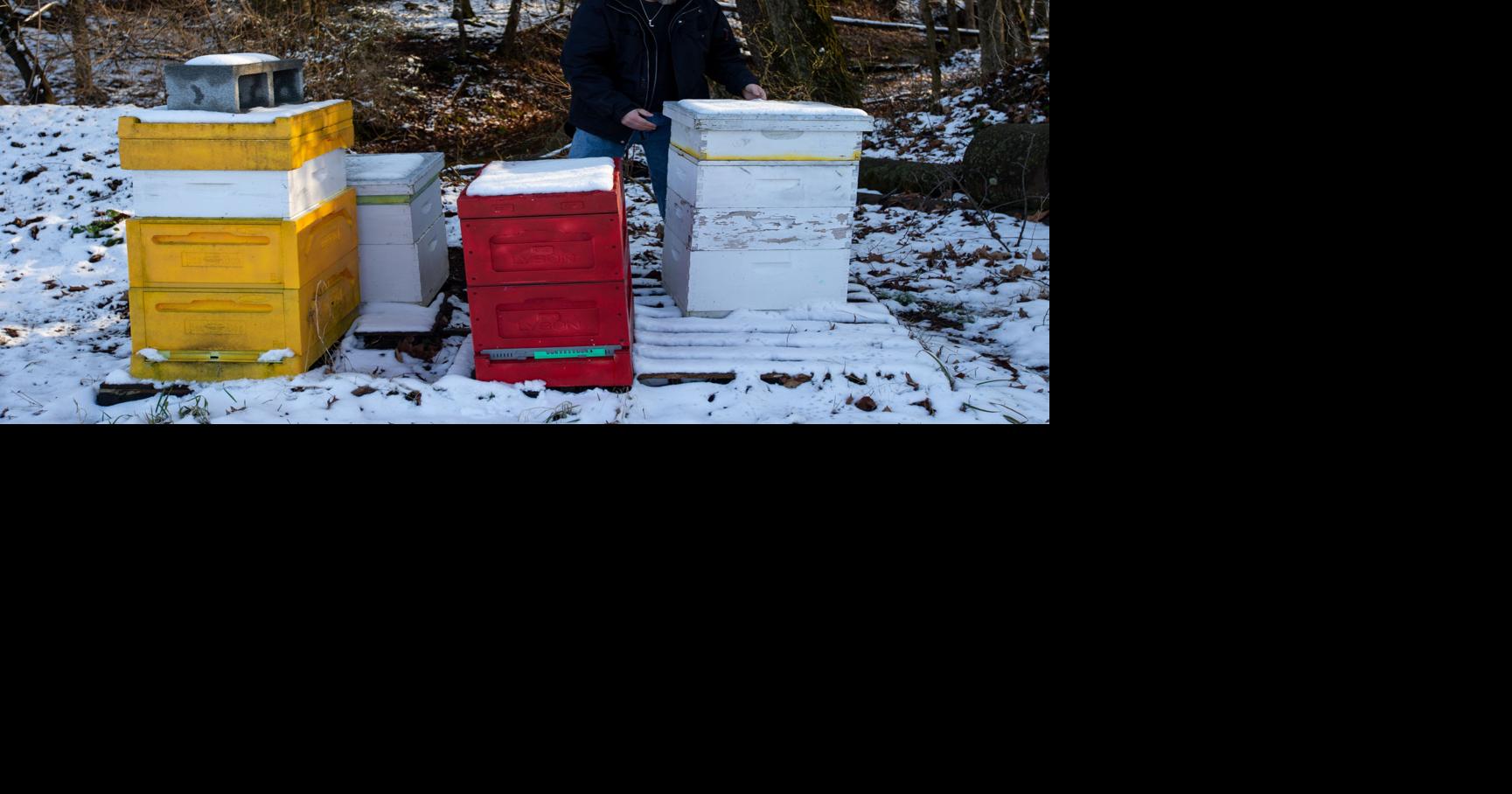 Fulks Run Family Buzzes About Honey Business | Dnronline | dnronline.com