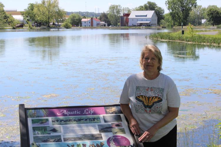 Bee Friends of Dayton to host pollinator garden program Thursday ...