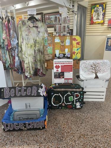 Students Raise Awareness For Community Clinic with Suitcase Project ...