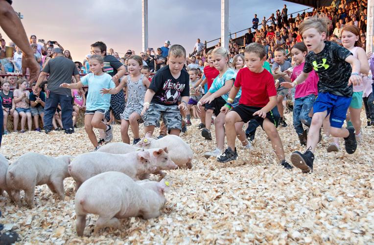 Shenandoah County Fair pig scramble draws record turnout — and a ...