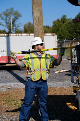 Electricity Pulses Through Generations Of Pultz Veins | Dnronline ...