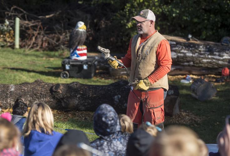 Chainsaw Artist Partners With EMES To Build Play Space | Harrisonburg ...