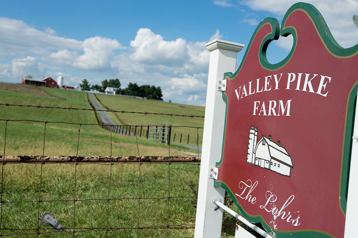 Preserving A Legacy | Rockingham County | dnronline.com