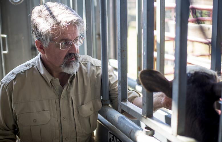 A Day On Zion's Farm | Photo | dnronline.com