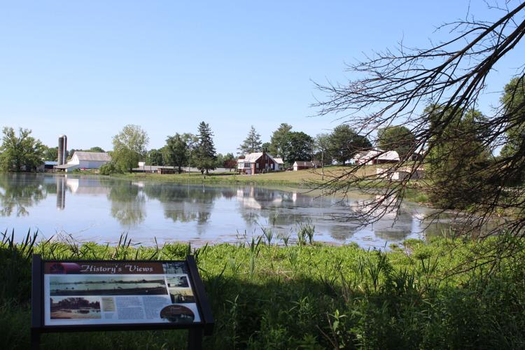 Bee Friends of Dayton to host pollinator garden program Thursday ...