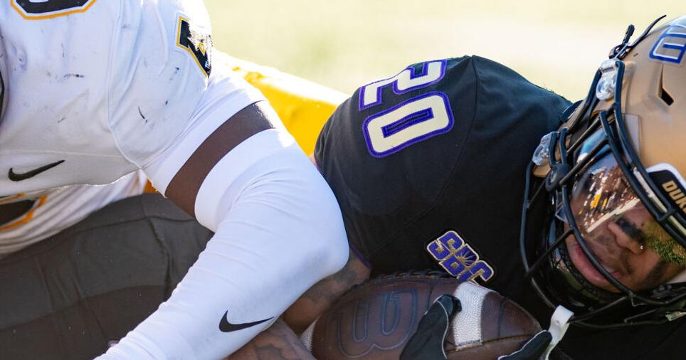 METTLEN: For a small state, Delaware well represented on JMU depth ...