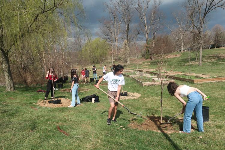 Volunteers Help Prevent Soil Erosion, Support City Wildlife | News ...