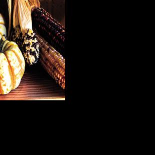 Fright & Delight | News | dnronline.com