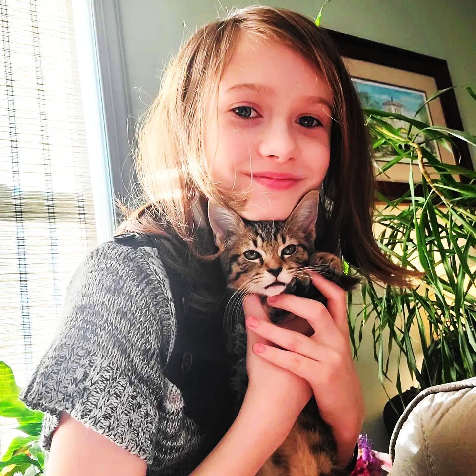 10-year-old girl drowns in Swift Run Campground pool | Public Safety ...