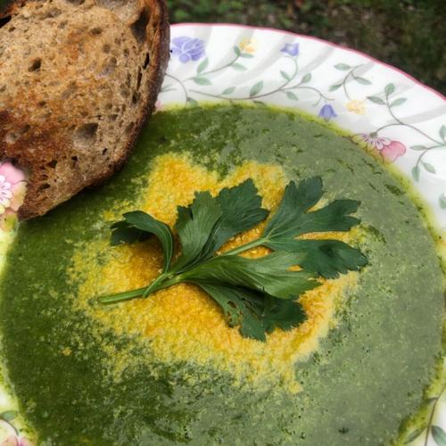 Vegan Green Soup A Tasty Boost For Changing Seasons | e-Edition ...