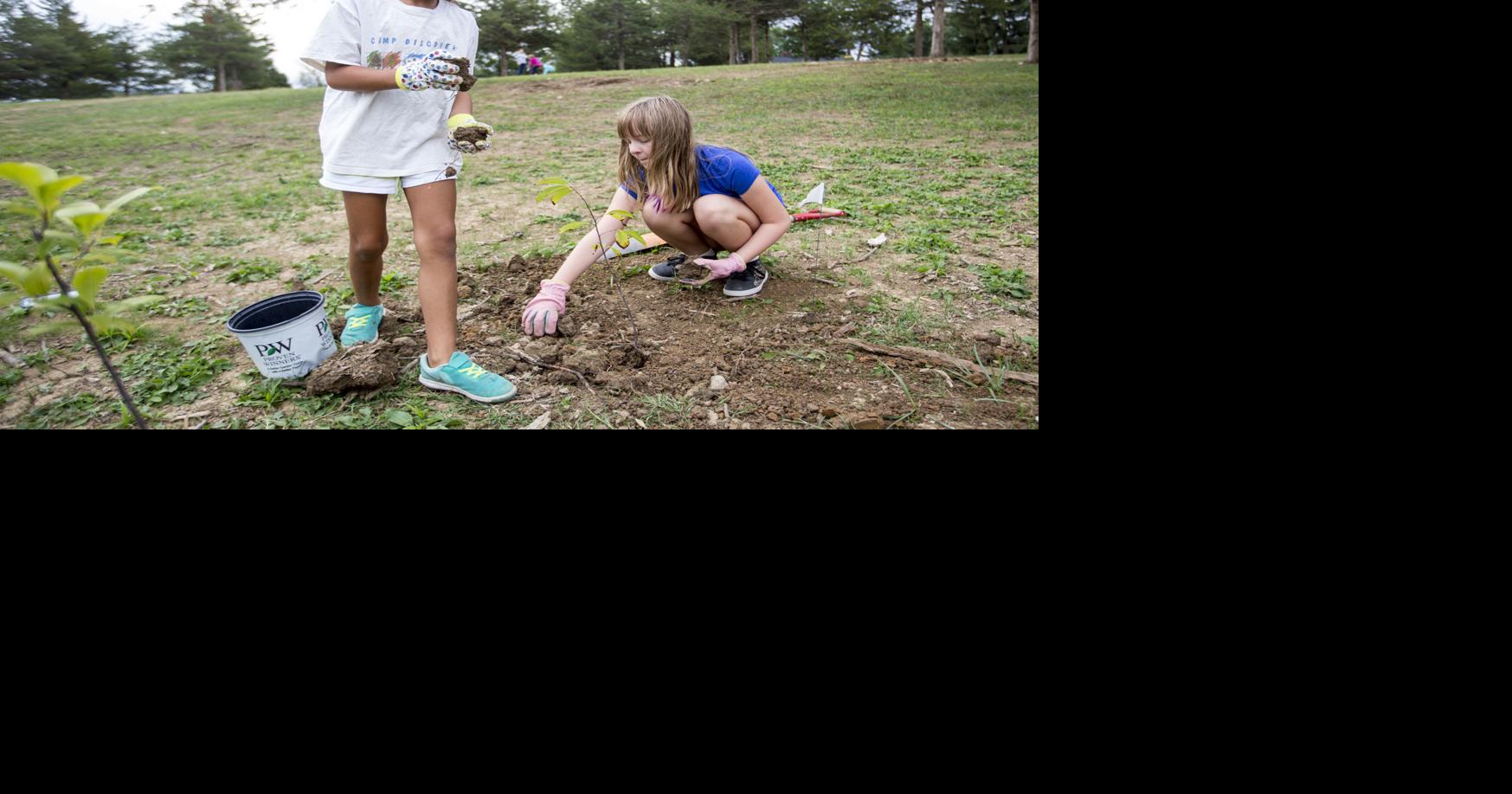 Girl Scouts Plant Trees At Westover Park | Dnronline | dnronline.com
