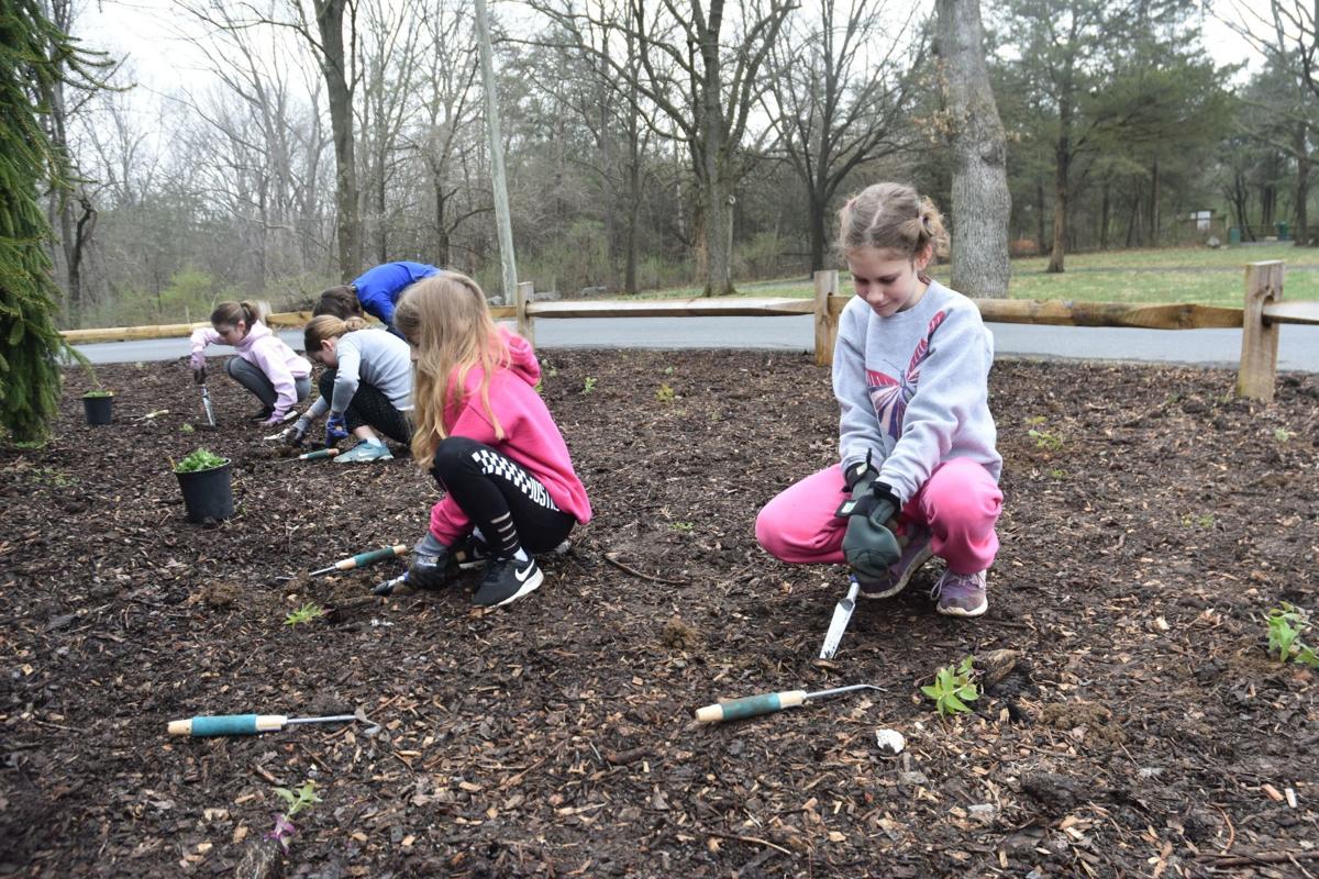 Girl Scouts Plant Pollinator Garden In Hillandale Park News