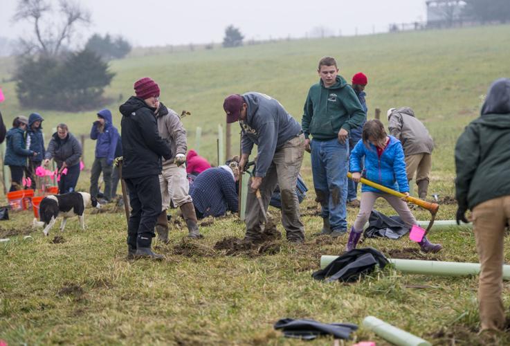 Plant Trees, Save Streams | Dnronline | dnronline.com