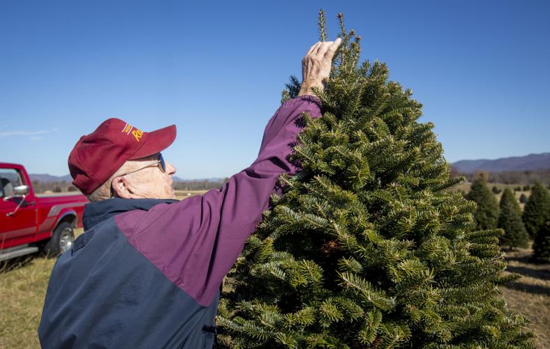 Zirkle Donates Part Of Christmas Tree Proceeds To St. Jude’s ...