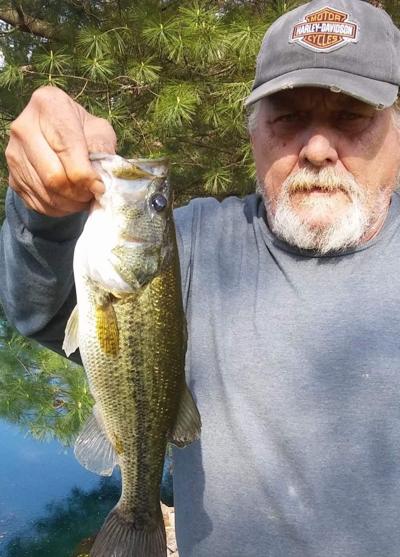 Terry Lynn Whitmer | Obituaries | dnronline.com