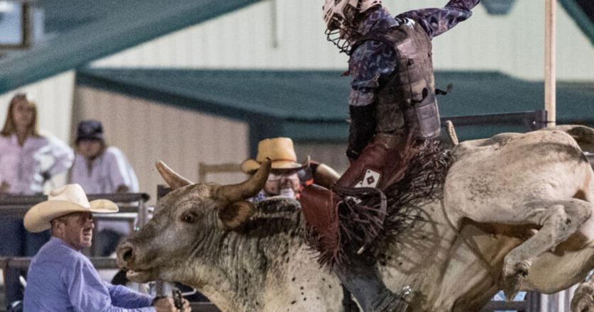 ‘A Fine Line Between Bravery And Stupidity’: Rodeo Brings Spectacle And ...