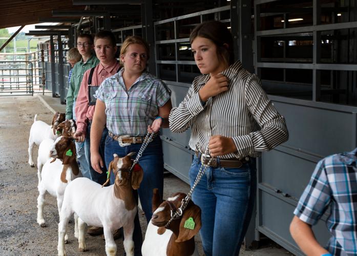 Rockingham County Fair: Tuesday | Photo | dnronline.com