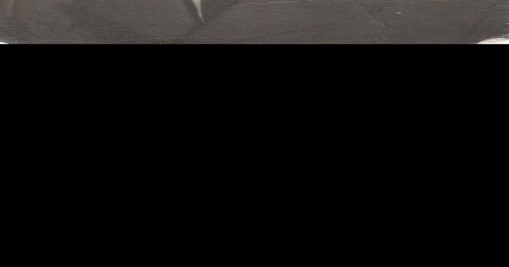 Larry A. Mohler | Veteran | dnronline.com