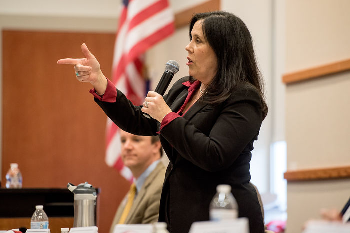 GOP 6th District Hopefuls Set Out Platforms | News | dnronline.com