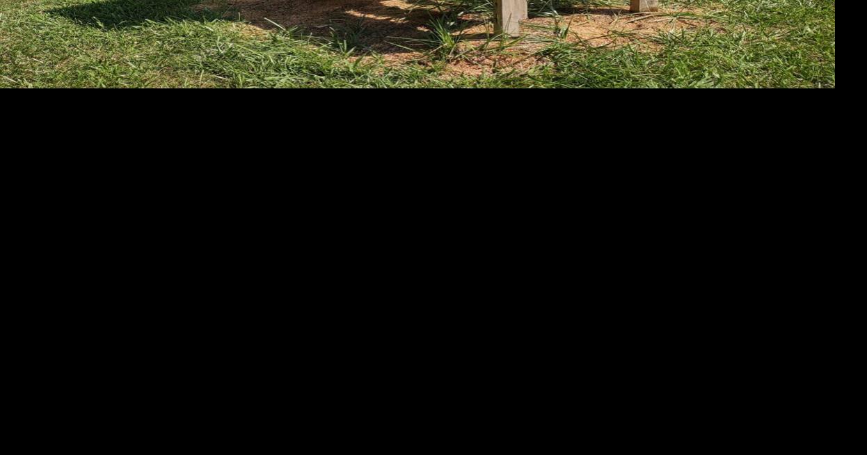 VDACS Beehive Distribution Applications Close Tomorrow | News ...