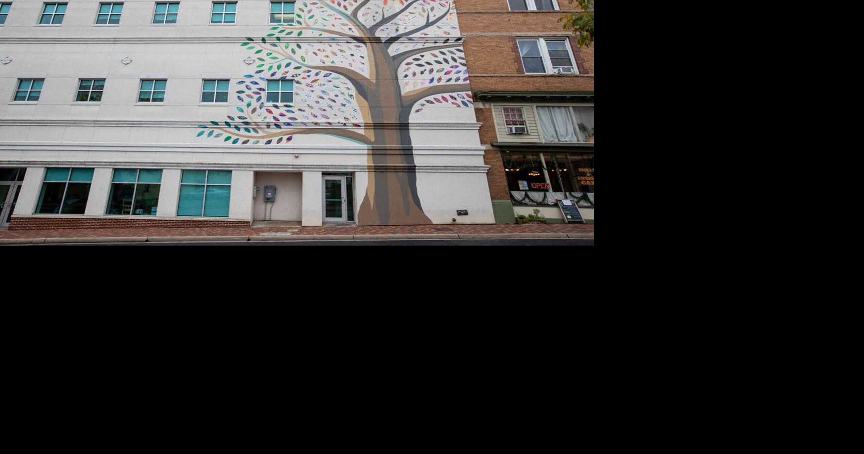 Celebrating unity: Student efforts bring Harrisonburg mural to ...