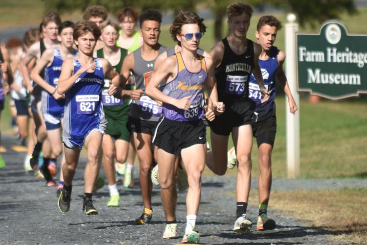 ALL-VALLEY BOYS CROSS COUNTRY RUNNER OF THE YEAR: Waynesboro's Adam ...
