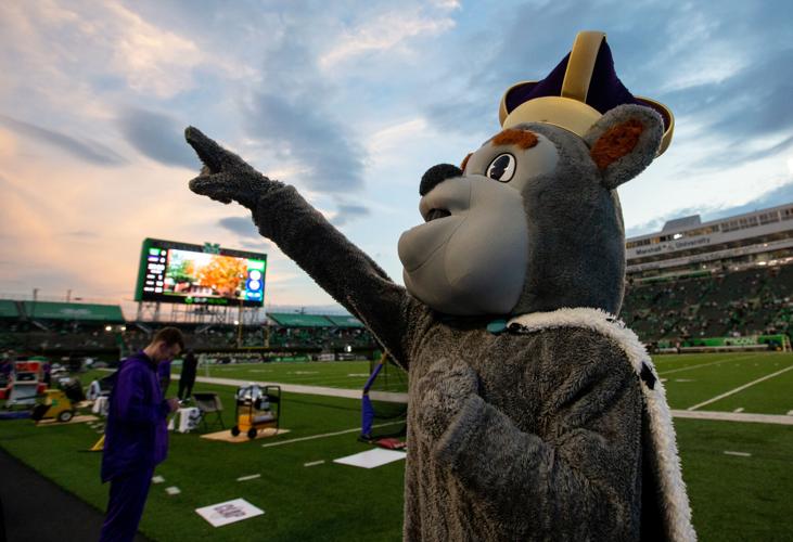 Football: Marshall vs. JMU | Photo | dnronline.com