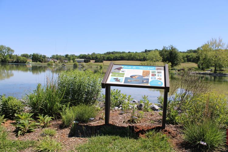 Bee Friends of Dayton to host pollinator garden program Thursday ...