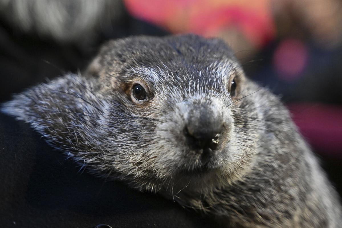 Rural Pen: Lessons learned from Phil Connors in Groundhog Day ...