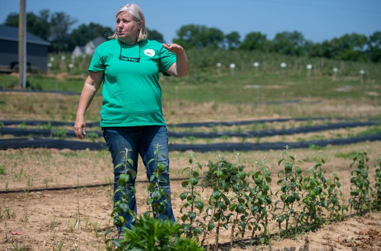 Oh Kale Yeah: Cross Keys Farm Opens For The Season | News | dnronline.com