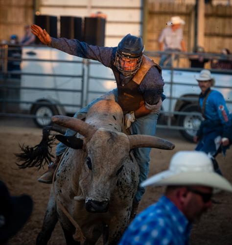 Rockingham County Fair Thursday - Rodeo | Photo | dnronline.com