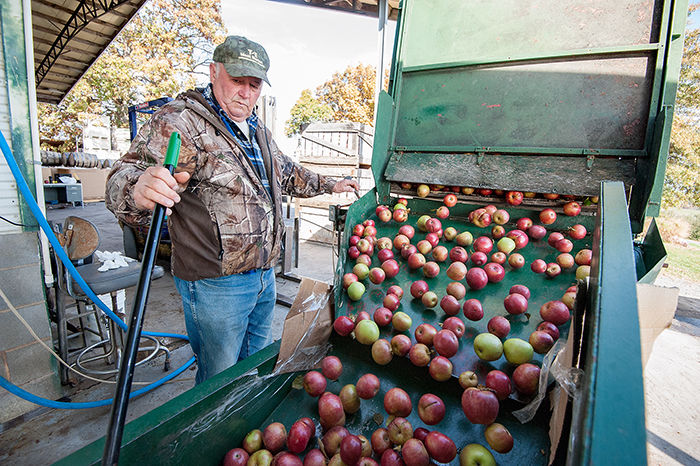 ‘Reviving’ A Tradition | News | dnronline.com