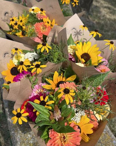 A Blossoming Dream: Meredith Mountain Farm Flourishes in Page County ...