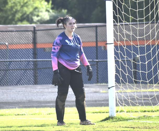 Clarke Heats Up In Semifinal Rout Of Luray | High School | dnronline.com