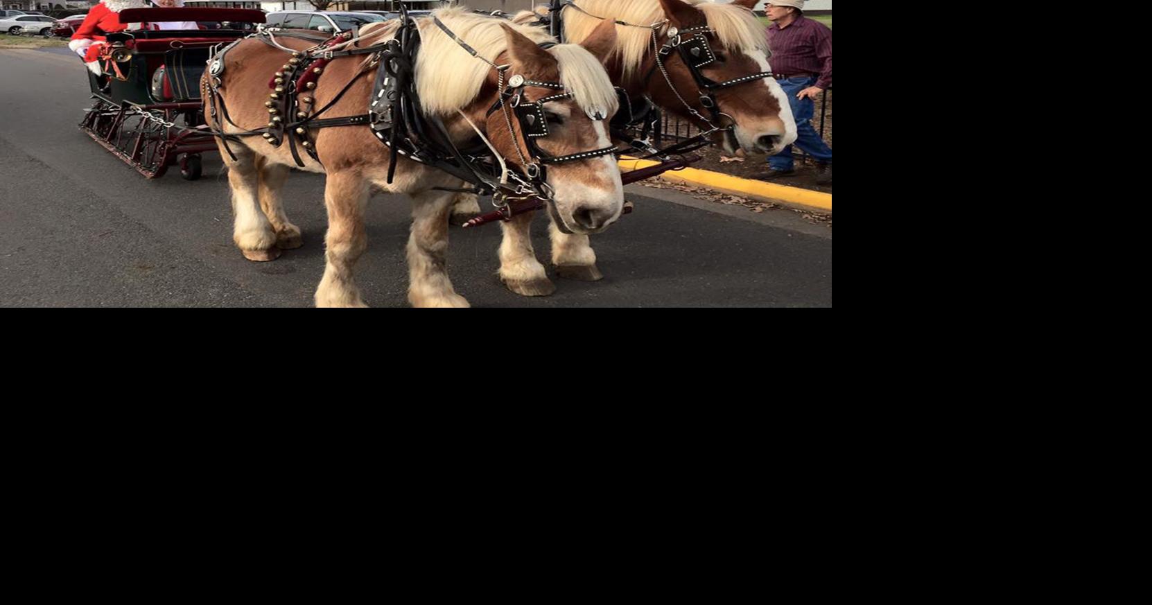 Bridgewater Parade A Fun Time For All | News | dnronline.com