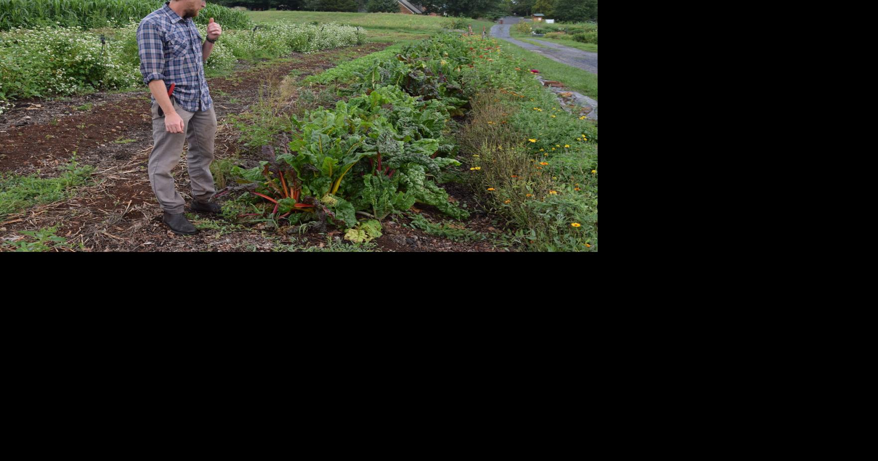 VMRC Farm Receives USDA Organic Certification | News | dnronline.com