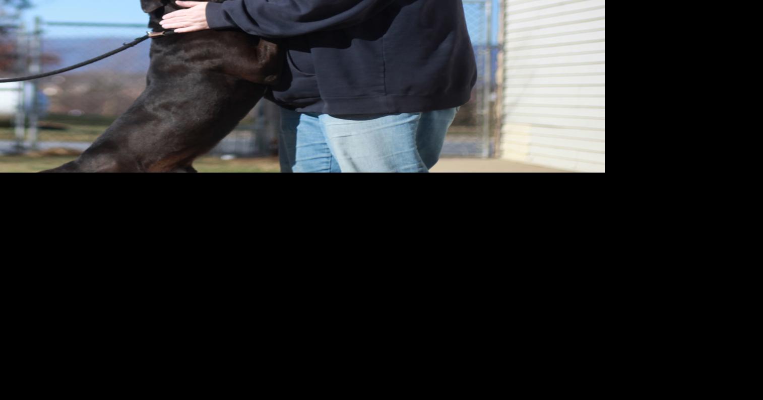 Page Animal Shelter Achieves No-Kill Status | Local | dnronline.com