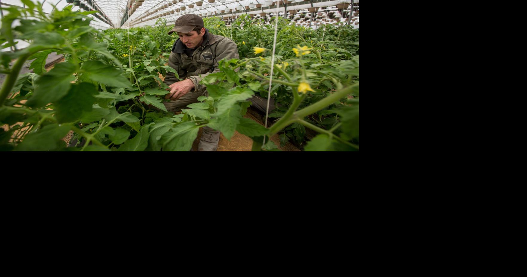 Overlook Produce And Farm Adventures Nets Ag Grant, Will Expand ...