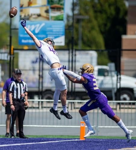 JMU Football Spring Game | Photo | dnronline.com