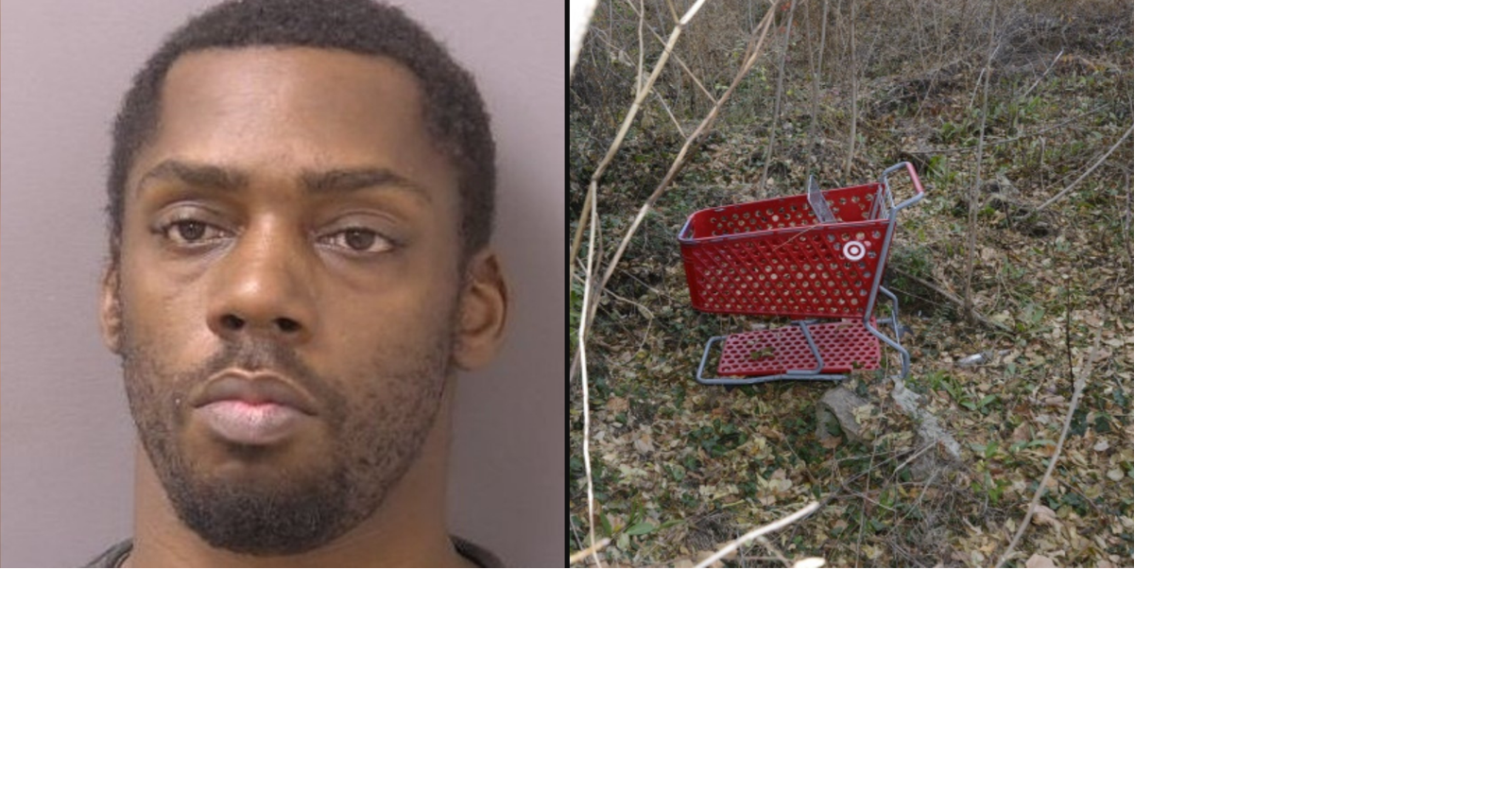 ‘Shopping Cart Killer’ denied insanity plea | Crime | dnronline.com