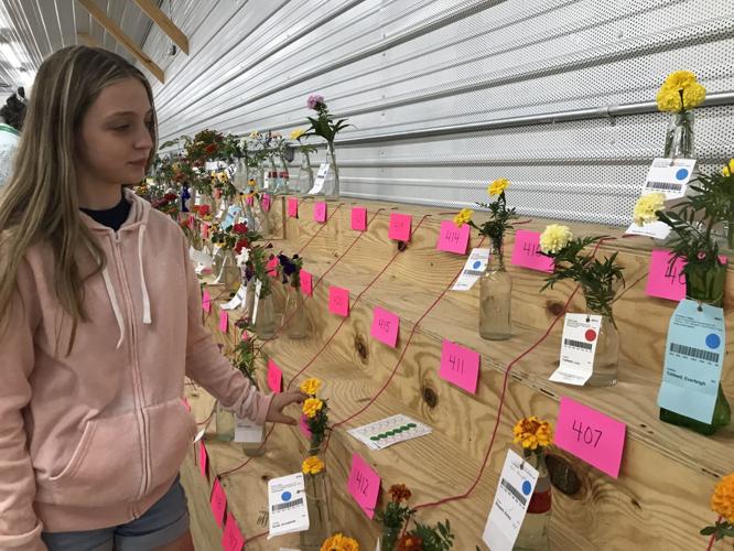 Despite Drought, Flower Competition Brings Color To Rockingham County ...