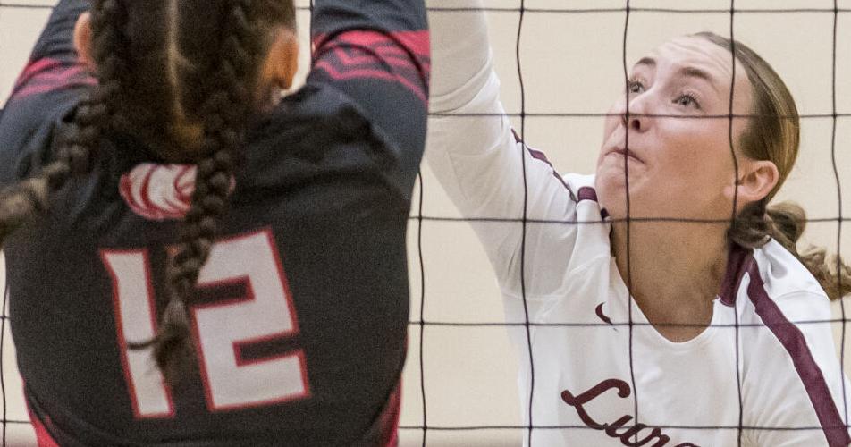 Luray's Reese Fitton, Susan Henry-Wilson named best in Region 1B | High ...