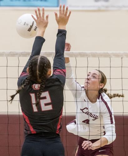 Luray's Reese Fitton, Susan Henry-Wilson named best in Region 1B | High ...