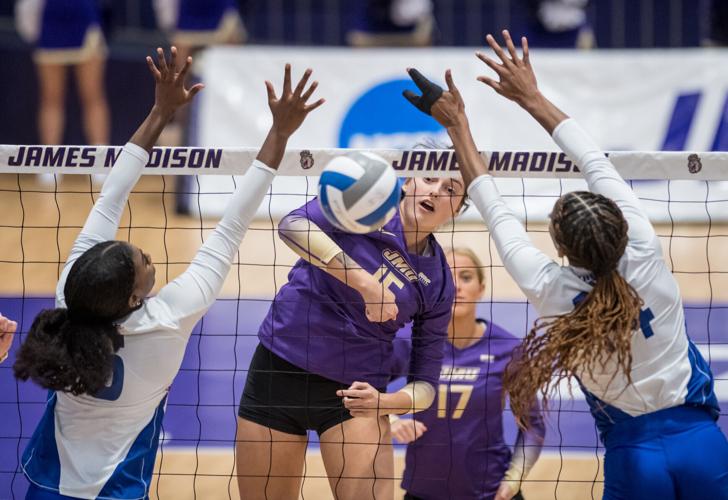 Volleyball: JMU vs. Georgia State | Photo | dnronline.com