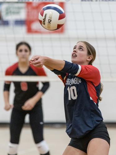 Athlete Spotlight: Waid served as reliable leader for improved Blue ...