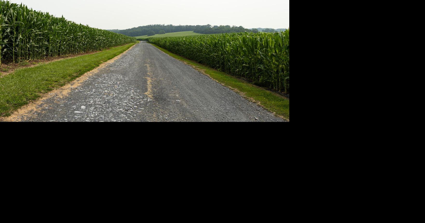 Virginia Ag Market Update Reports Corn Prices Up 26 Cents Per Bushel ...