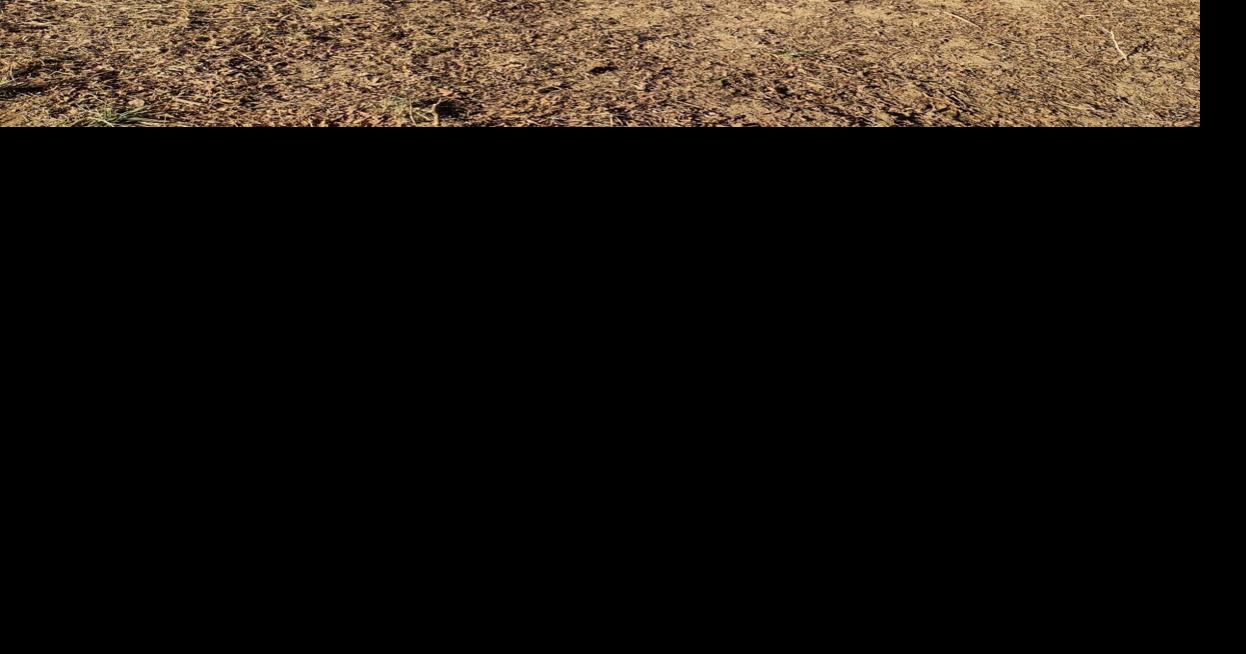 Drought Assistance Programs Now Available To County Farmers | News ...