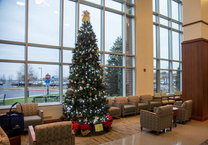 Memorial Tree Ceremony A Healing Ritual for Parents who Lost Infants ...