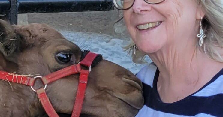 Helen Bain Cook | Obituaries | dnronline.com